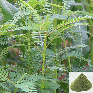 NMK Online | Herbal Powders Online