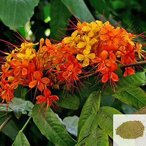 NMK Online | Herbal Powders Online