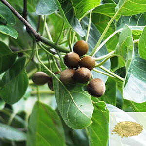 NMK Online | Herbal Powders Online